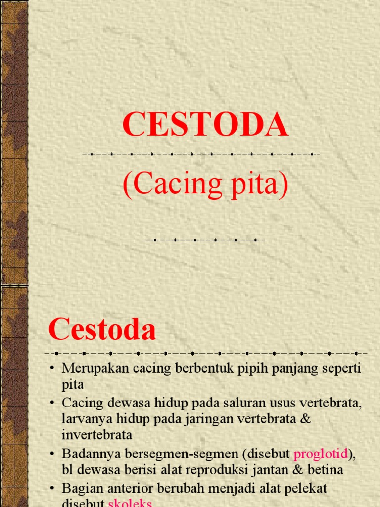 Cacing Pita: Cestoda dan Dampaknya | PDF