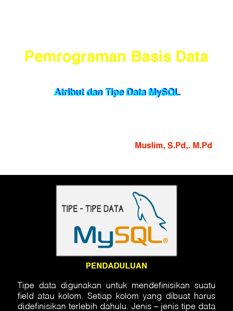 Atribut Dan Tipe Data | PDF