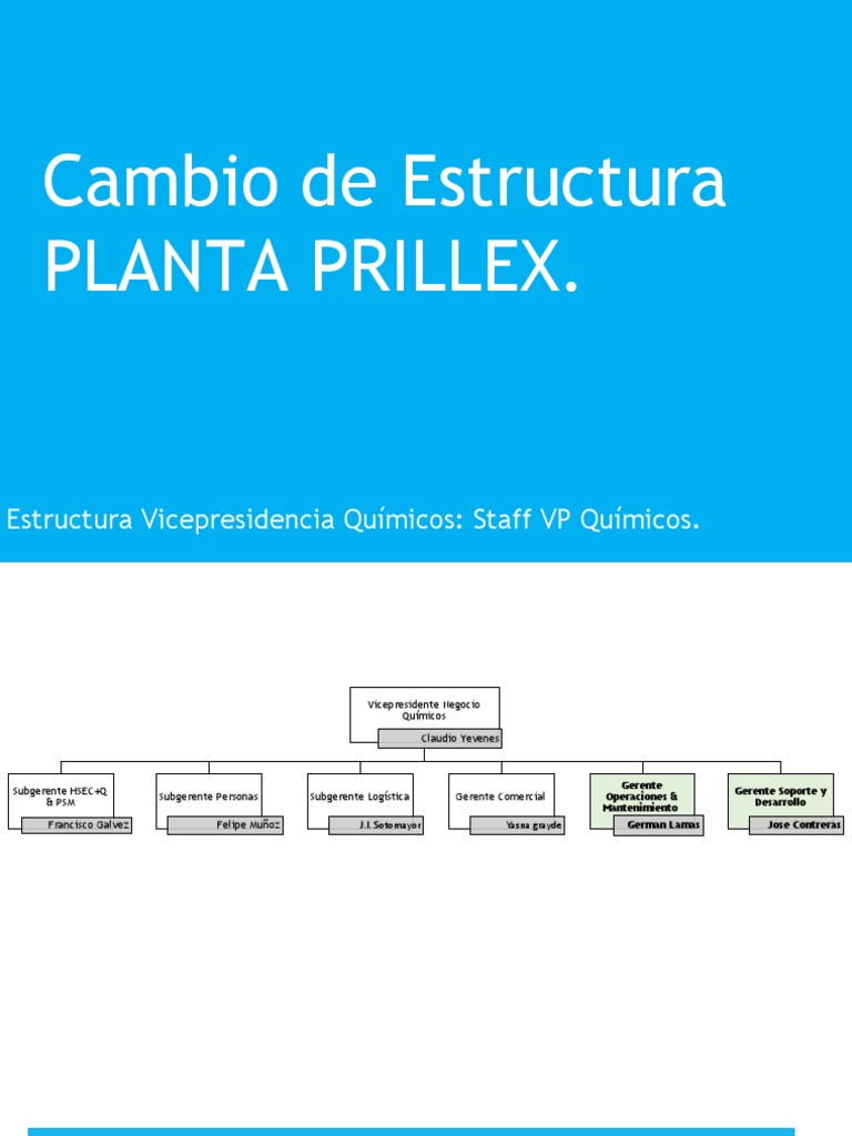 Estructura Prillex V2 12012021 | PDF | Benchmarking | Calidad (comercial)