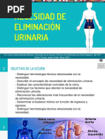 GUÍA de PROCEDIMIENTOS Control de La Diuresis | PDF | Vejiga urinaria ...