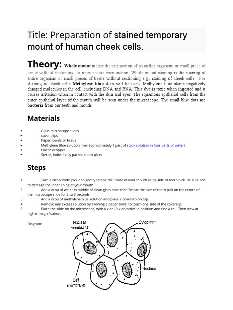 Preparation of Temporary Whole Mount | PDF