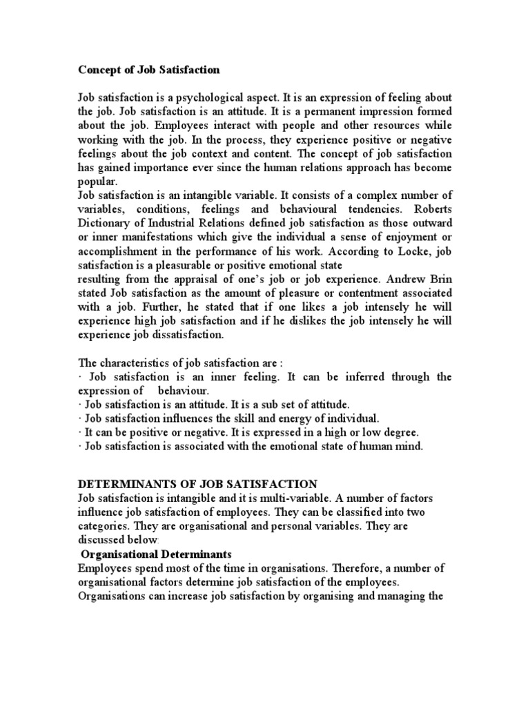 Understanding Job Satisfaction Concept | PDF | Job Satisfaction ...