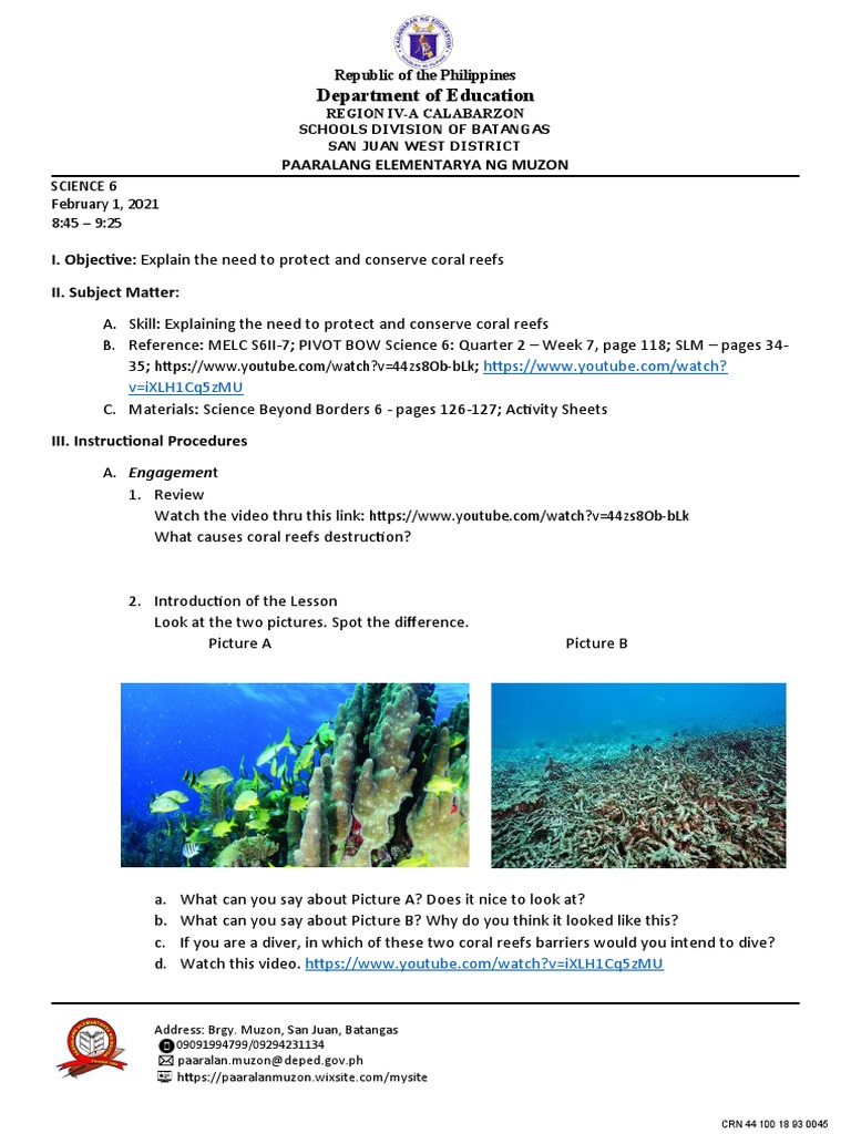 Explaining the Importance of Protecting Coral Reefs Through Hands-On ...