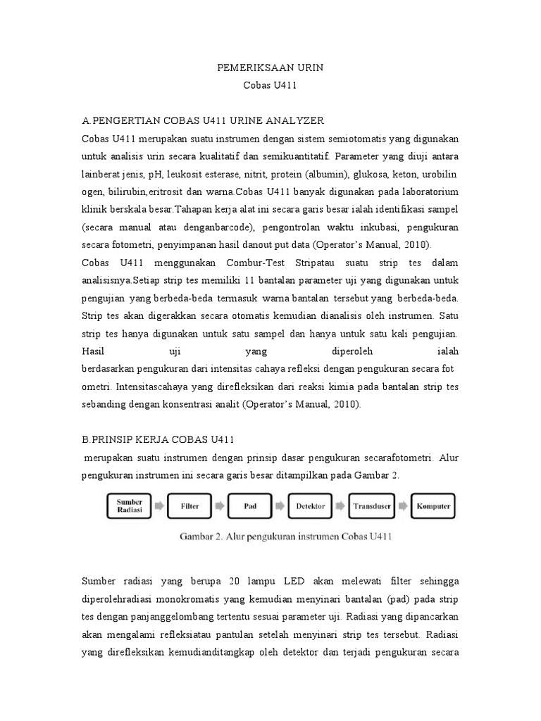 Pemeriksaan Cobas U411 | PDF
