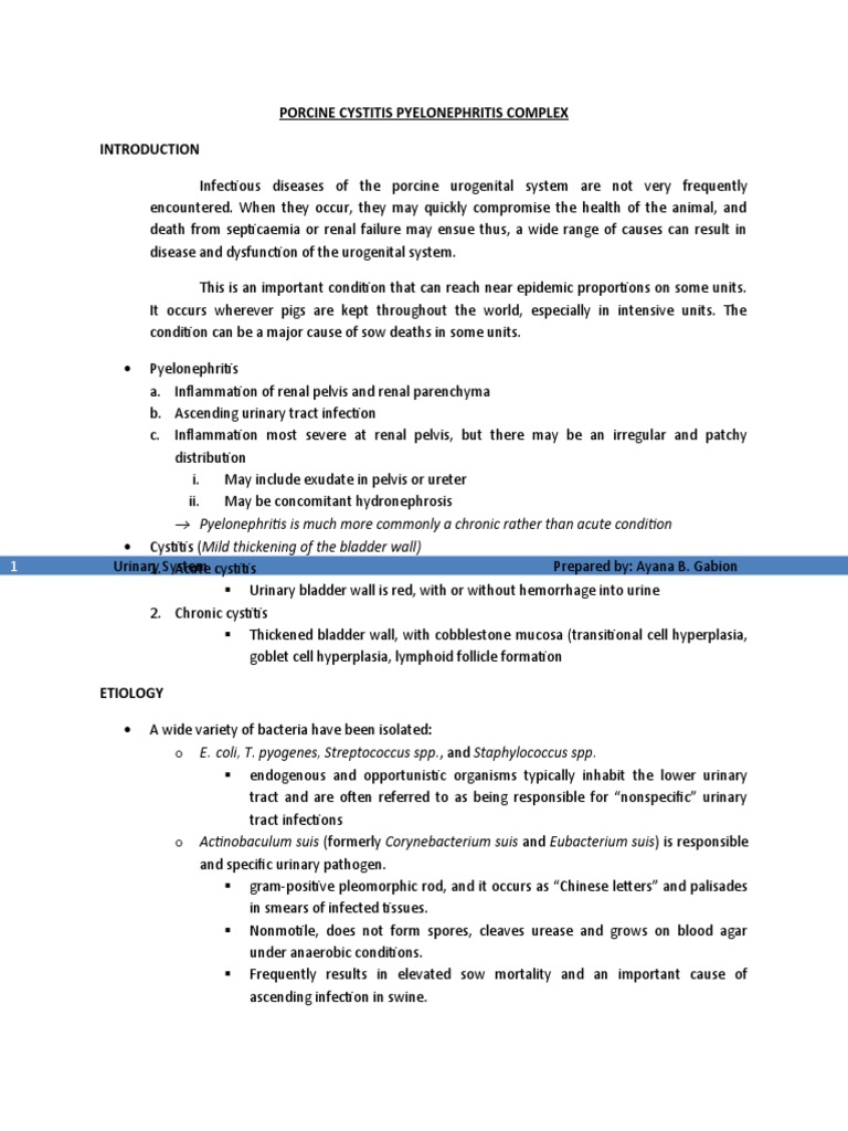 Gabion - Porcine Cystitis Pyelonephritis Complex - Finals | PDF ...