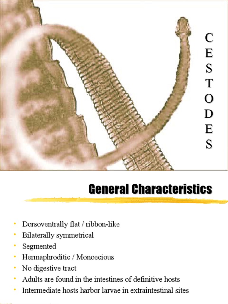 3 Cestodes (Tapeworms) | PDF | Clinical Medicine | Diseases And Disorders