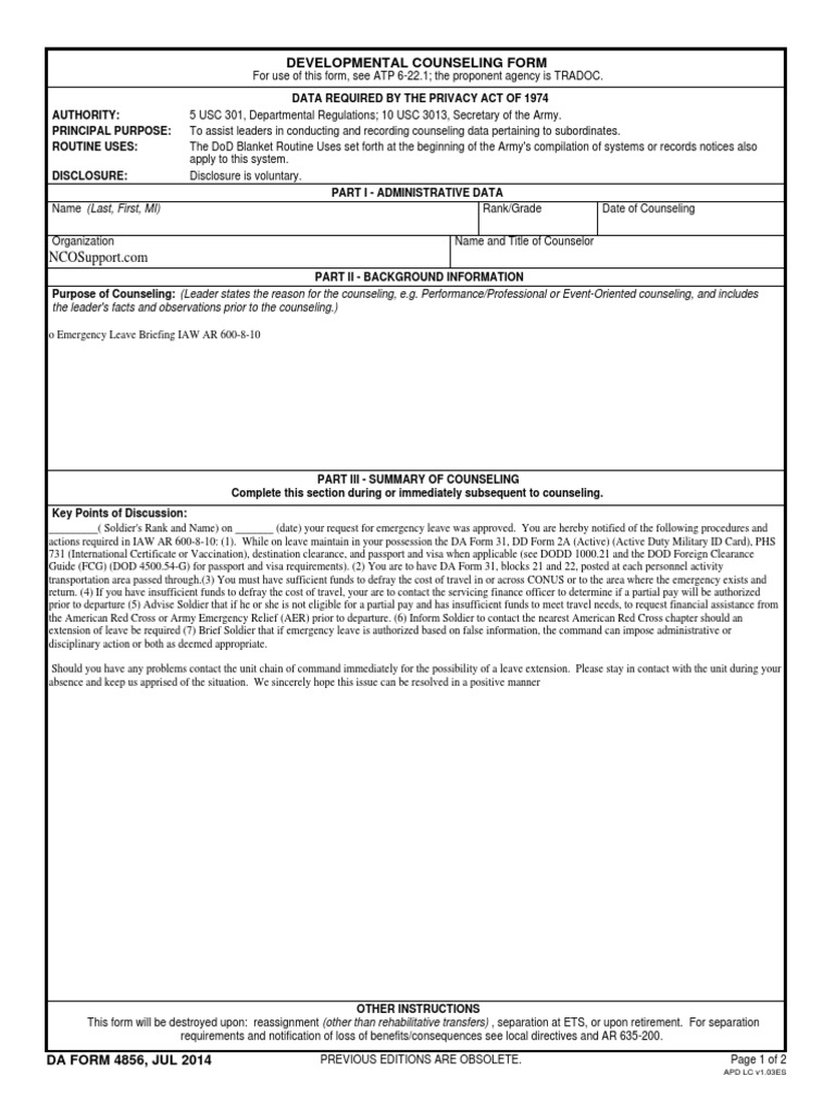 Developmental Counseling Form: The Leader's Facts and Observations ...