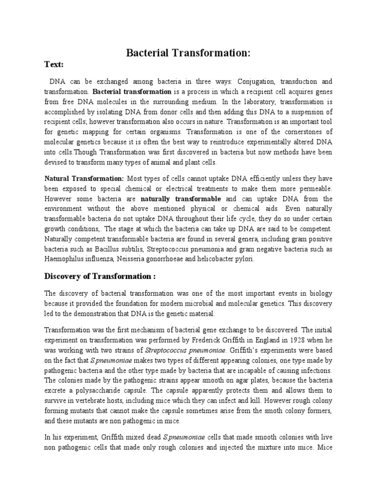 Bacterial Transformation Overview | PDF | Transformation (Genetics) | Dna