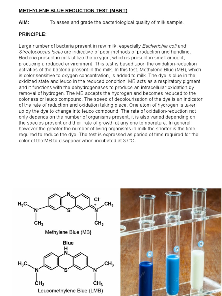 Methylene Blue Reduction Test (MBRT) | PDF | Colony Forming Unit | Redox