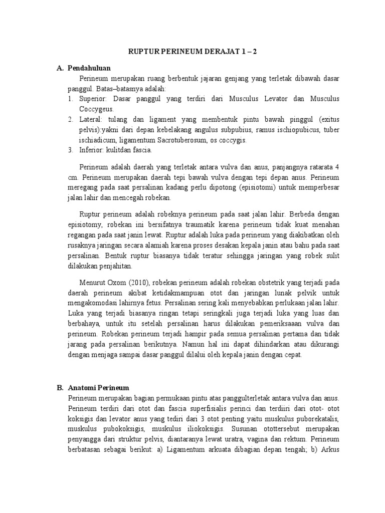 Ruptur Perineum: Klasifikasi dan Penanganan | PDF