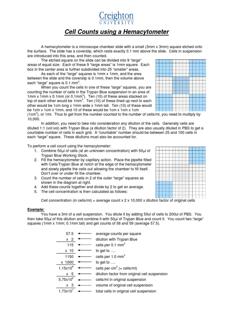 Using A Hemacytometer | PDF | Laboratory Equipment | Laboratories