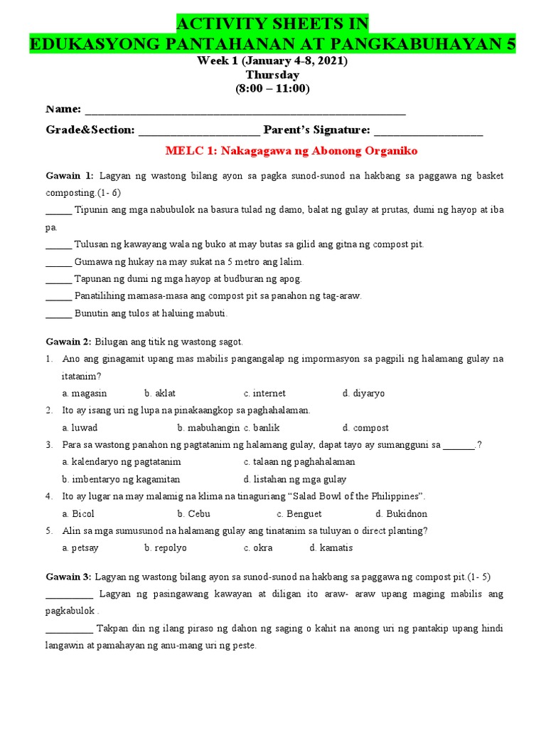 Activity - Sheet - in - Epp 5 - Week 1-Edited | PDF