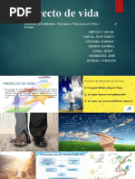 Guía Mi Proyecto de Vida Collage | PDF