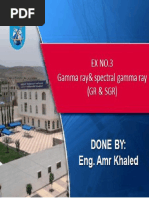 Gamma Ray Log Interpretation Guide | PDF | Physics | Radioactive Decay