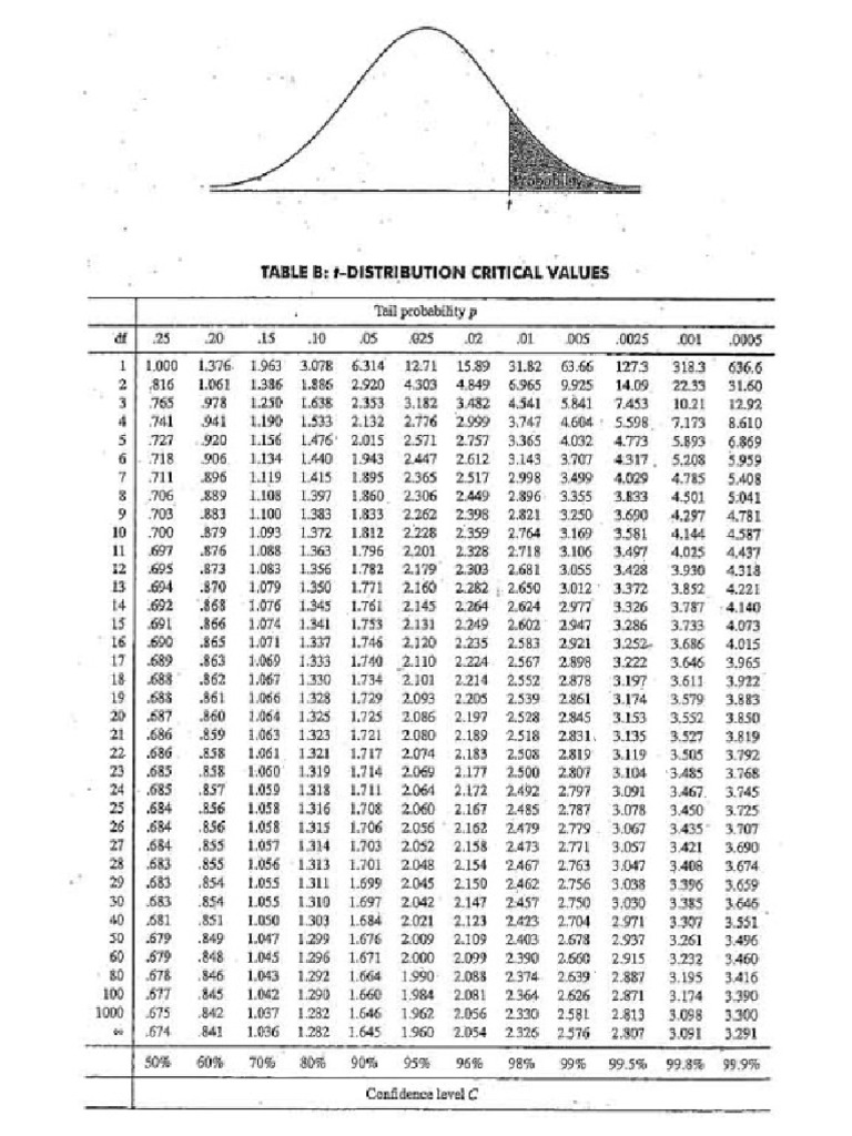 Student's T Tables | PDF