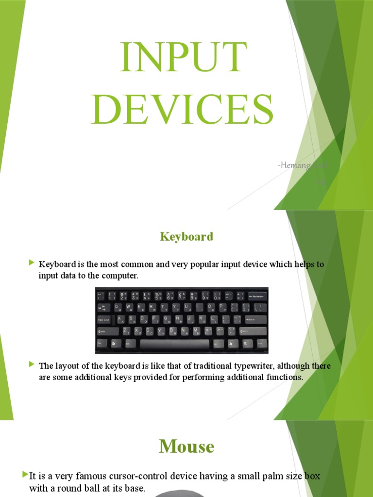 Input Devices Presentation | PDF