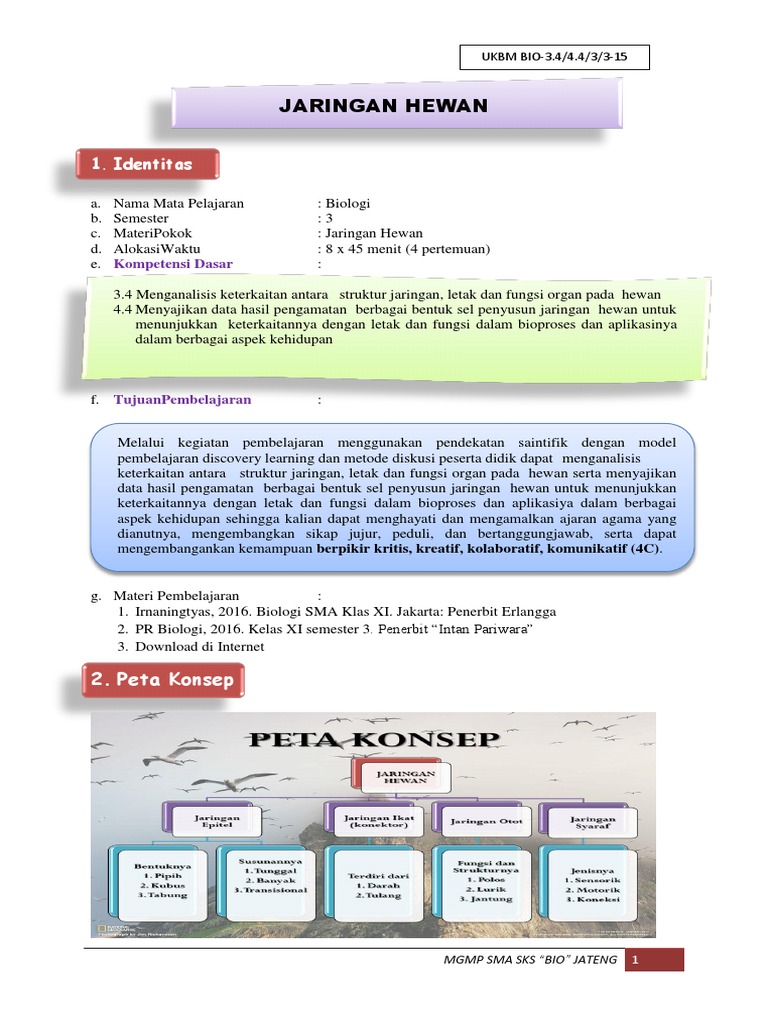 Jaringan Hewan: Struktur dan Fungsi | PDF | Sains & Matematika