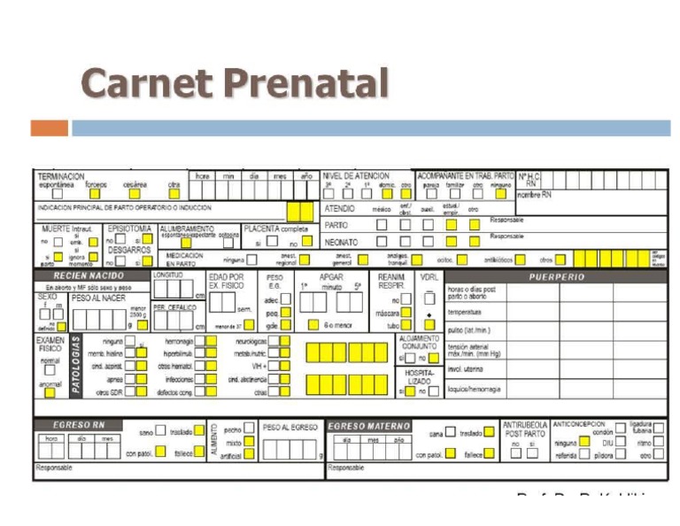 Carnet Perinatal | PDF