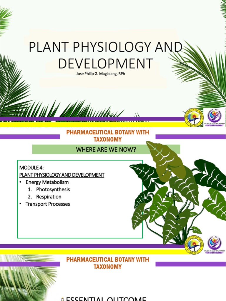 Module 4 Plant Physiology and Development | PDF | Cellular Respiration ...