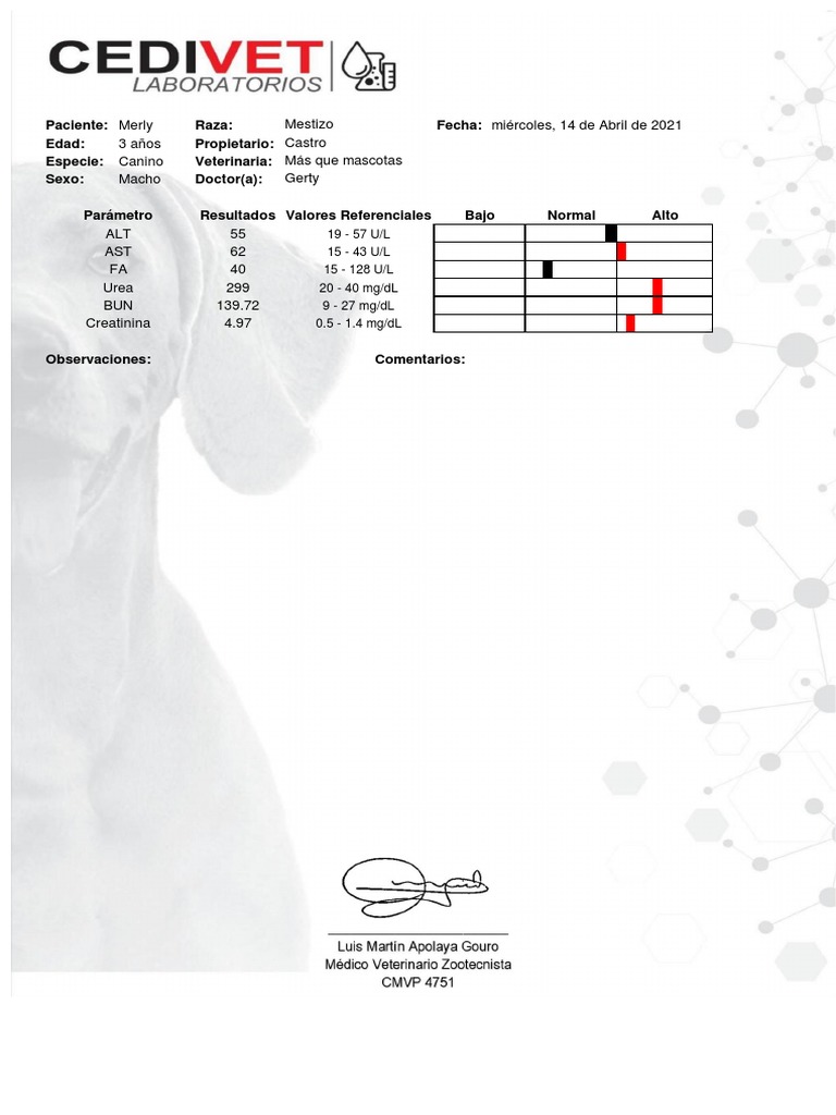 Merly Castro Bioquimica | PDF