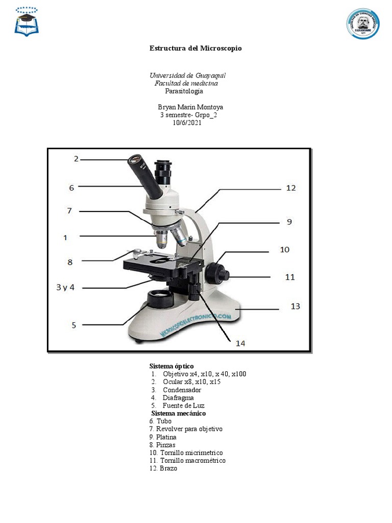 Partes Del Microscopio | PDF