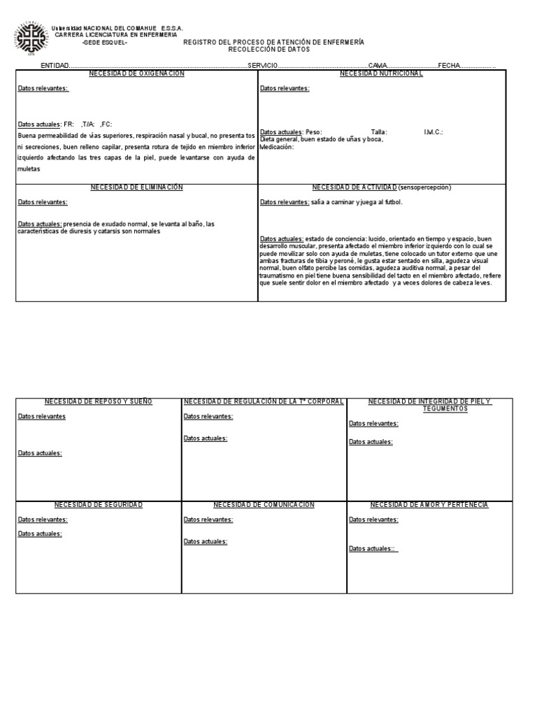 Formato de PAE | PDF | Enfermería | Medicina