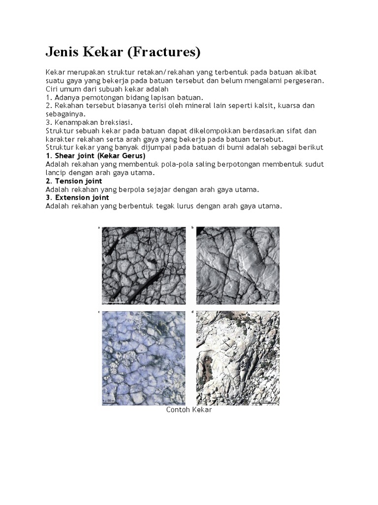 Jenis Kekar | PDF | Sains & Matematika