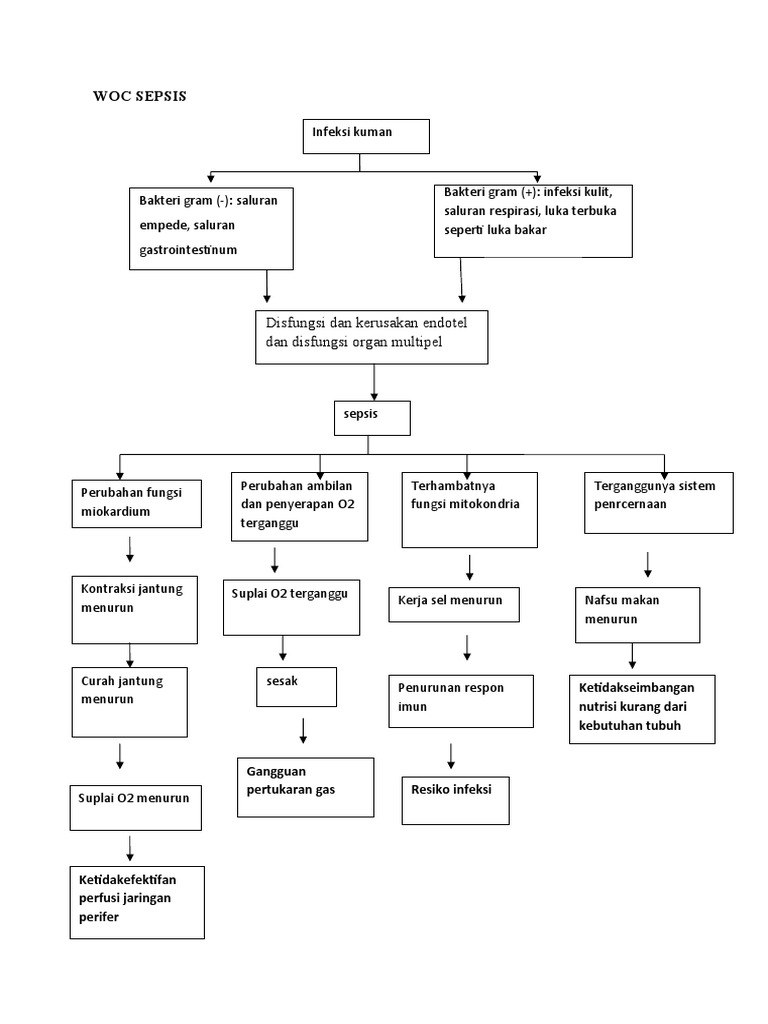 Woc Sepsis | PDF