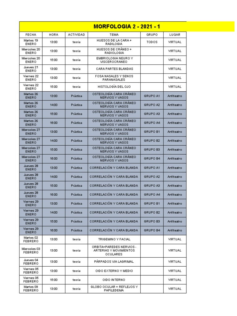 Crono Clases - Morfo 2 - 2021-1 | PDF | Abdomen | Riñón