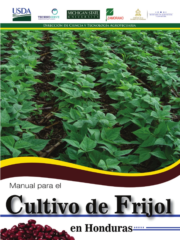 2015, Manual para El Cultivo de Frijol en Honduras, G | PDF | Siembra | Fertilizante