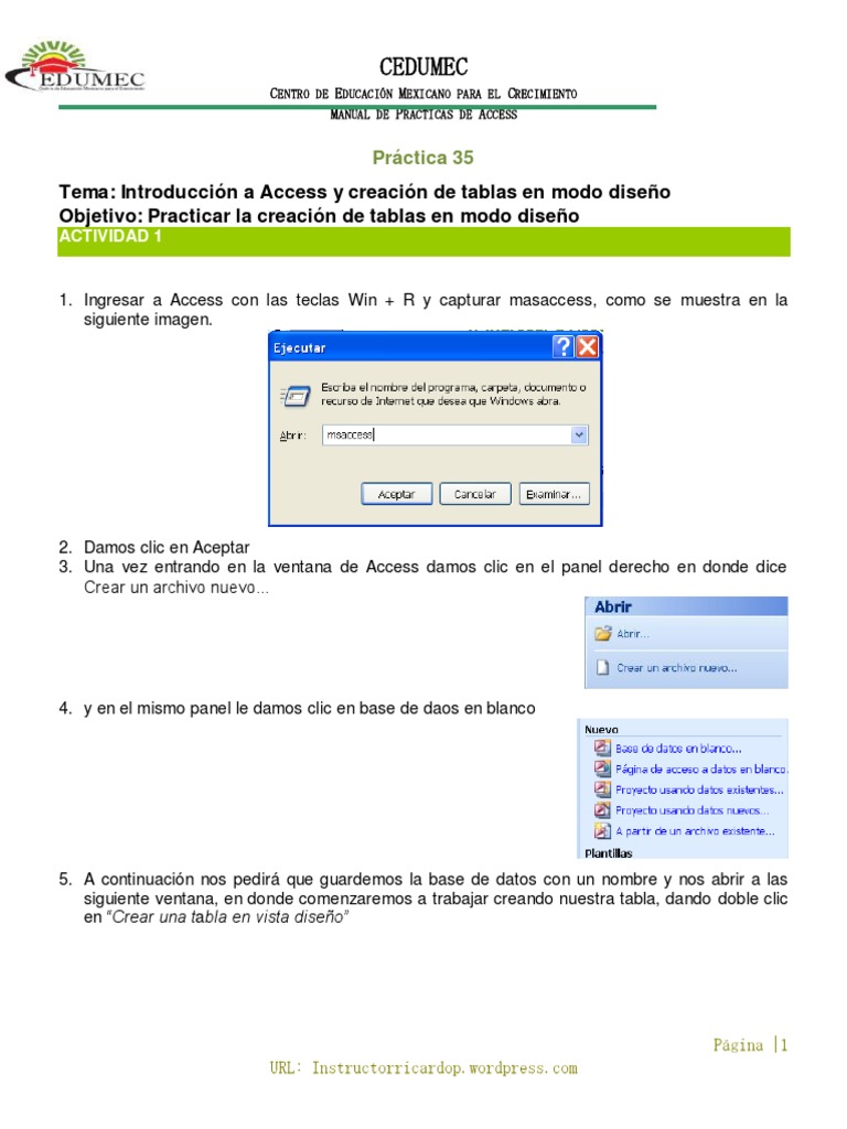 Manual de Practicas de Access | PDF | México | Bases de datos