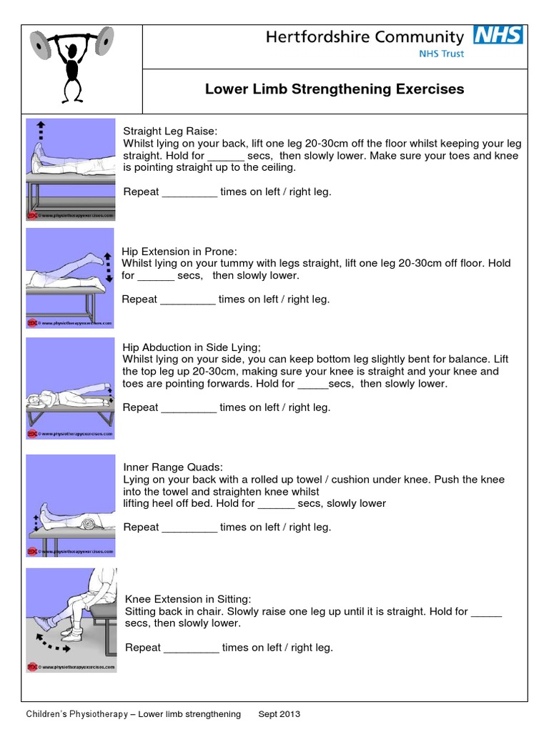 Lower Limb Strengthening Exercises for Rehabilitation | PDF | Anatomical Terms Of Motion | Human Leg