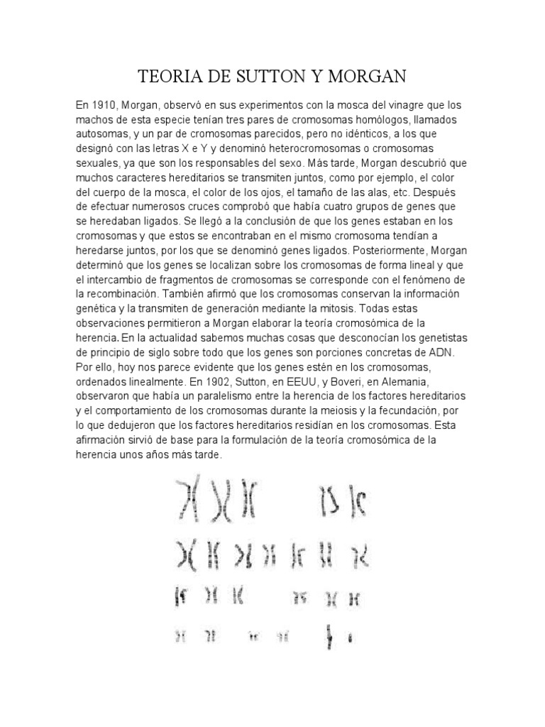 Teoria de Sutton y Morgan | PDF | Hemofilia | Mutación