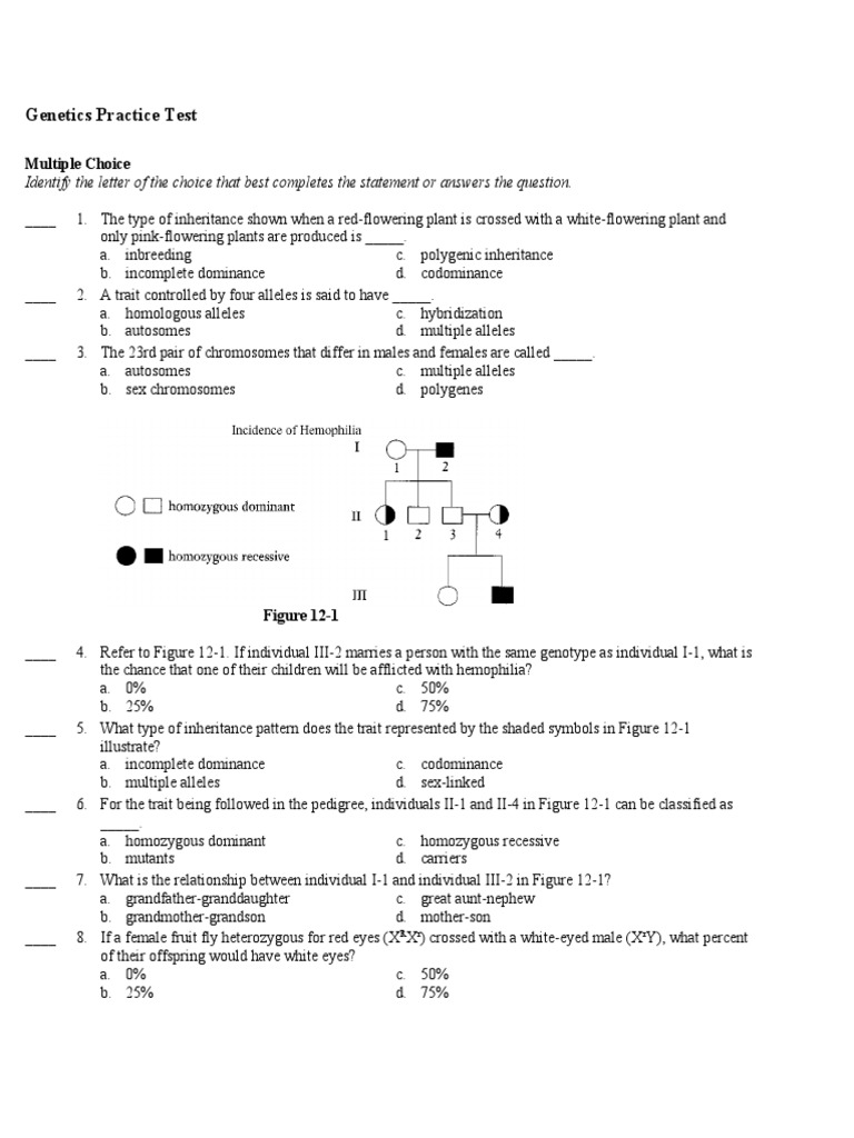 Genetics Practice Test | PDF | Dominance (Genetics) | Allele