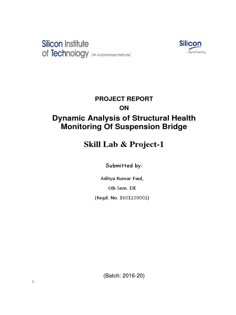 ProjectReport SkillLab&Project 1 | PDF | Electrical Engineering | Computing And Information ...