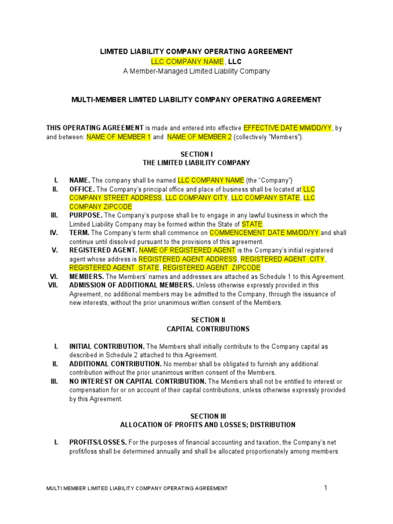 LLC Operating Agreement | PDF | Fiscal Year | Indemnity