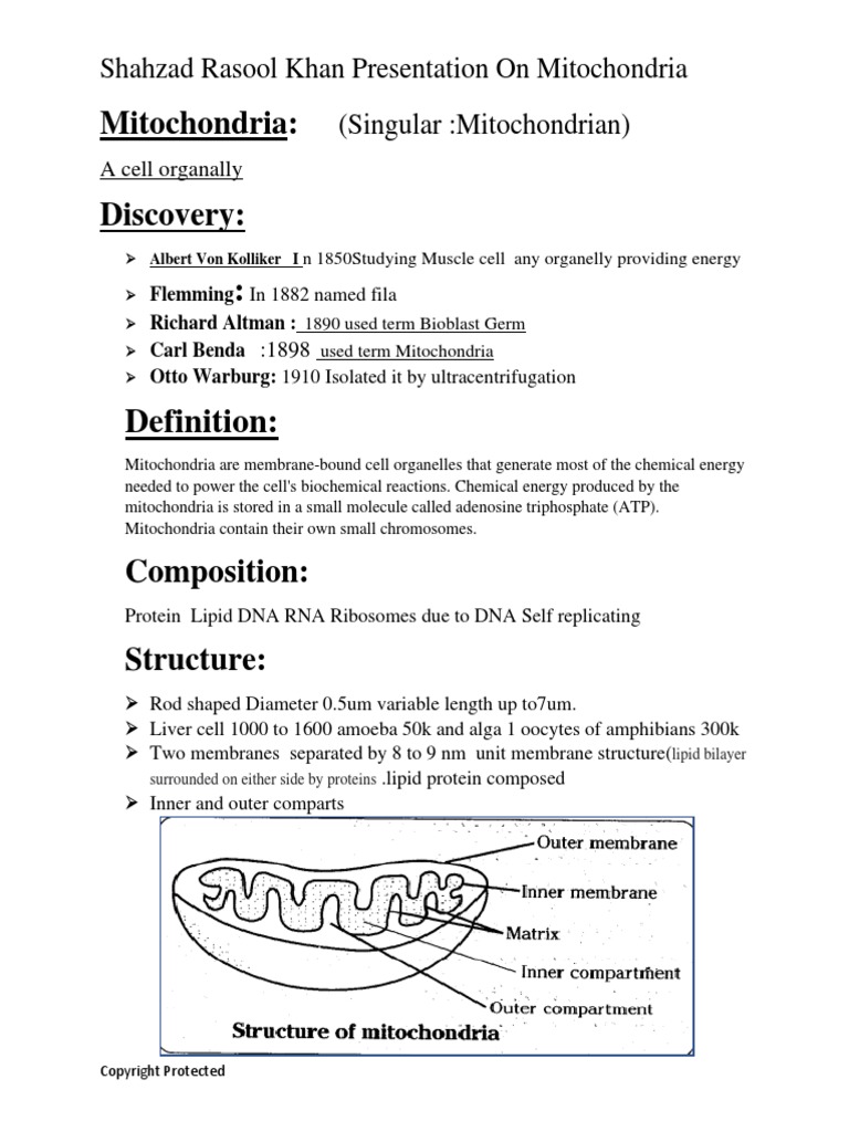 Mitochondria Presentation | PDF | Mitochondrion | Biological Membrane