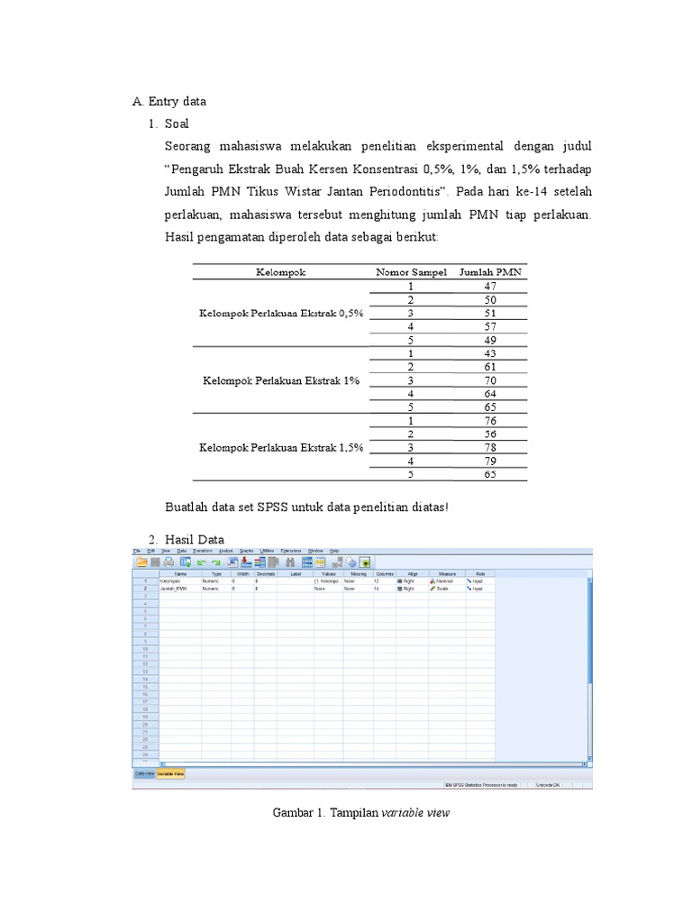 Contoh Laporan Spss Entry Data | PDF