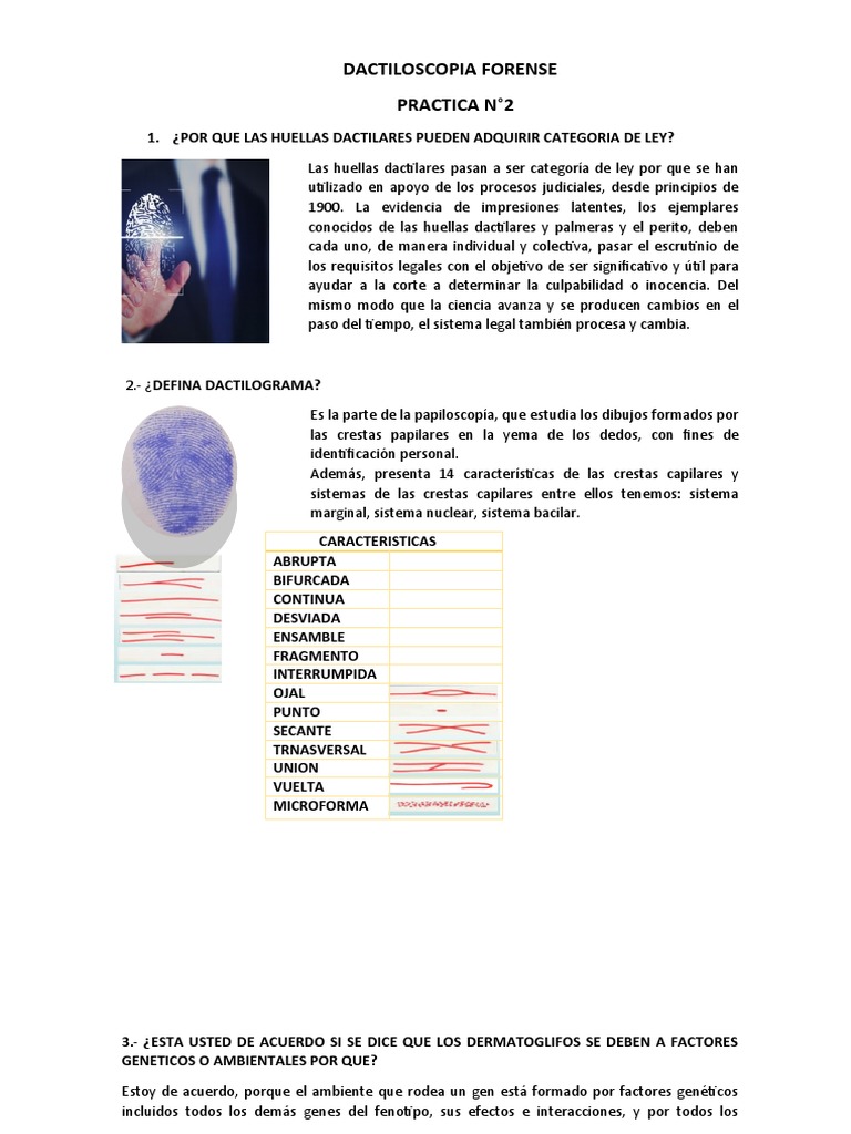 Dactiloscopia Forense N°2 | PDF | Huella dactilar | Naturaleza