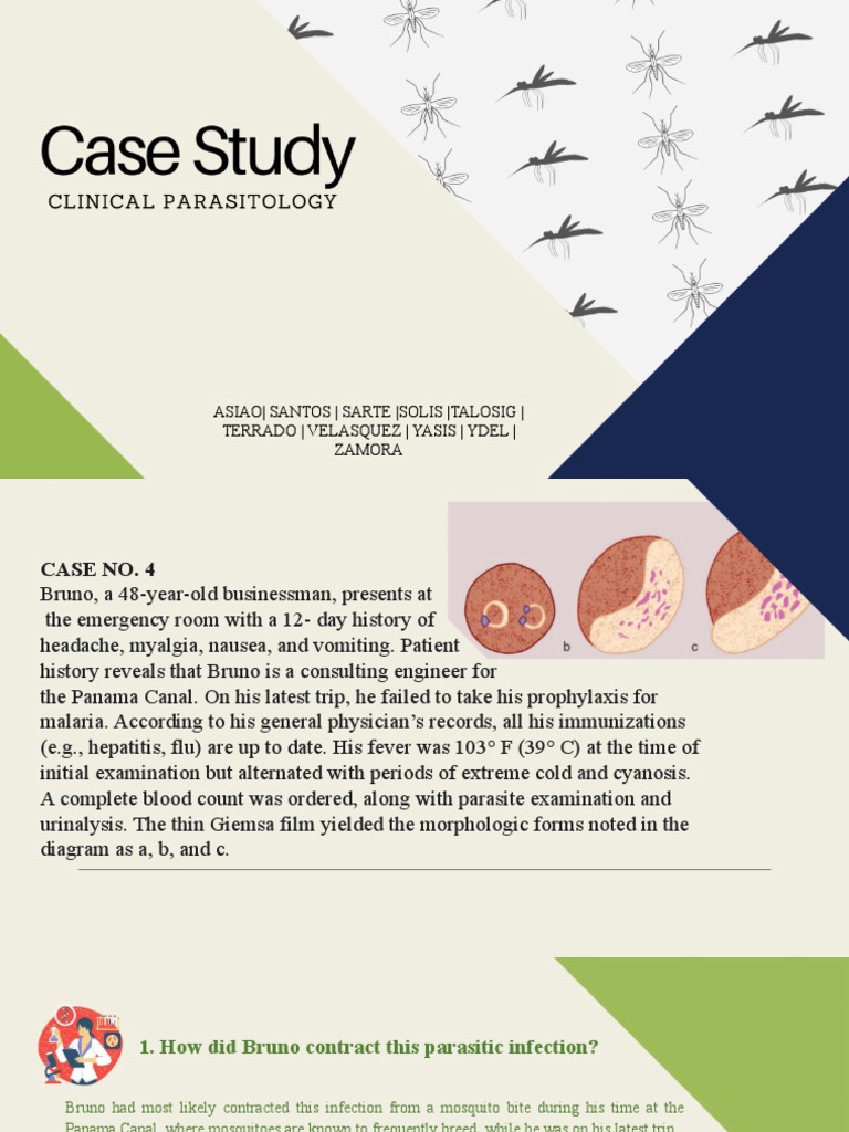 Malaria Case Study: Diagnosis & Management | PDF | Malaria | Plasmodium