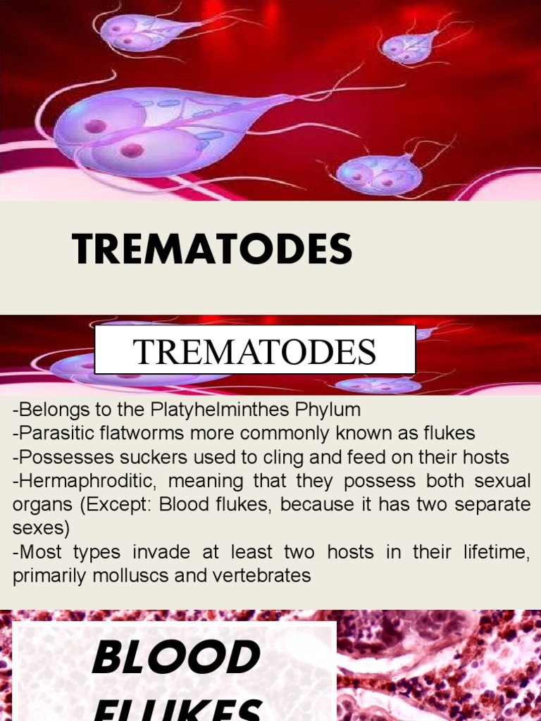TREMATODES | PDF | Parasitism | Parasitology
