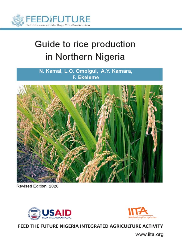 Guide To Rice Production in Northern Nigeria | PDF | Rice | Fertilizer