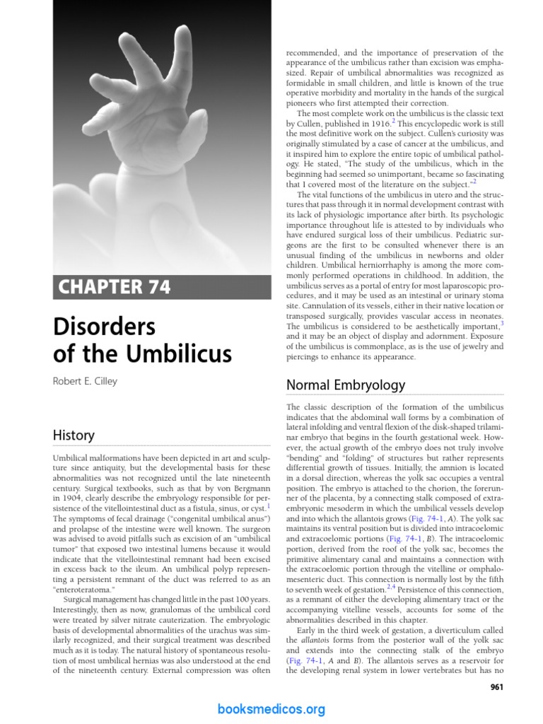 Disorders of The Umbilicus: Normal Embryology | PDF | Anatomy ...