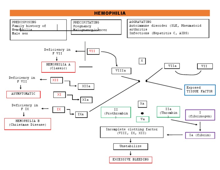 Hemophilia Flowchart | PDF