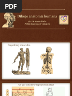 Músculos Del Torso | PDF | Sistema musculoesquelético | Anatomía humana