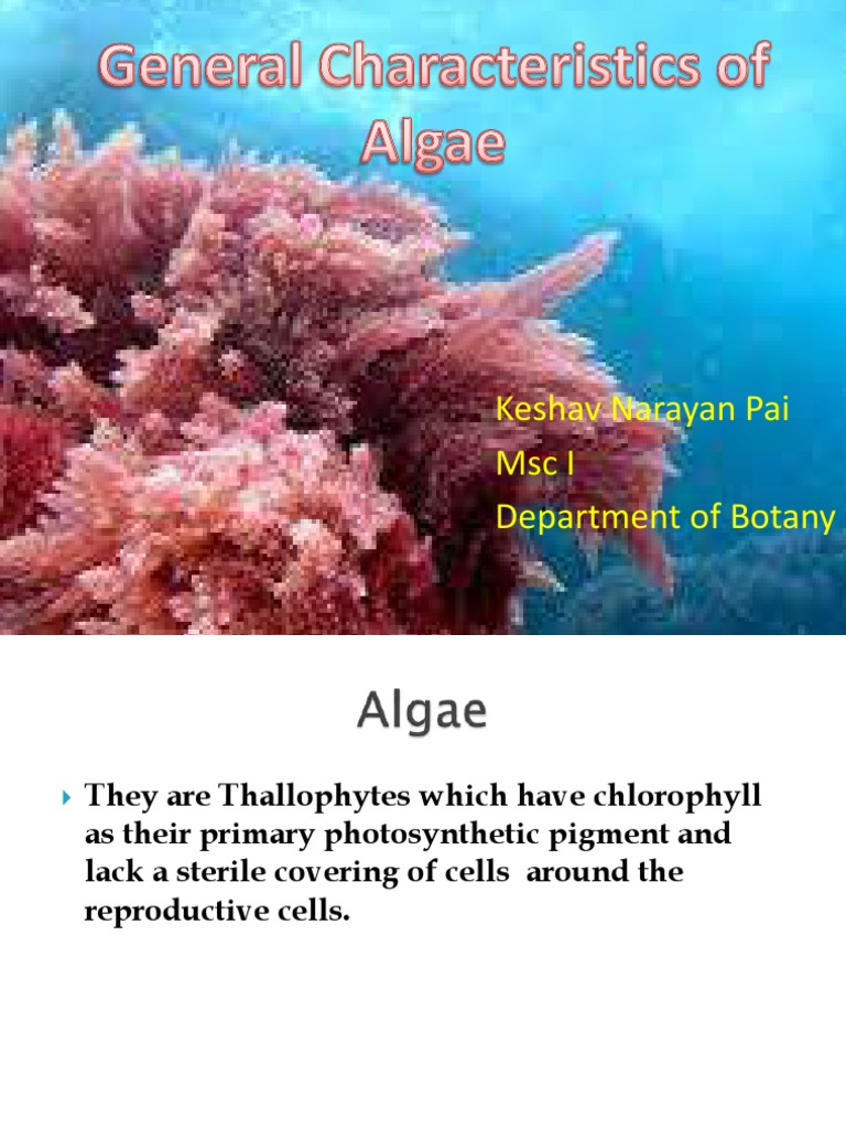 General Characters of Algae | PDF | Algae | Cell (Biology)