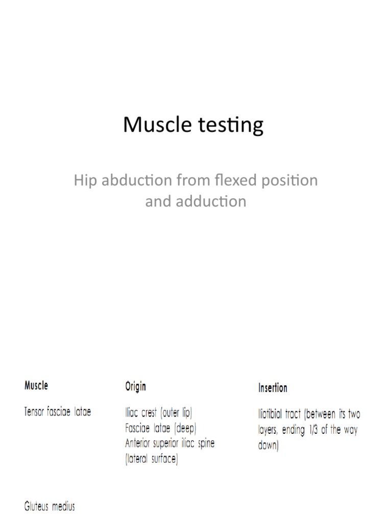 Hip Muscle Testing: Abduction & Adduction | PDF | Anatomical Terms Of ...