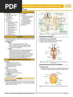 Netter - Atlas of Human Anatomy | PDF | Abdomen | Pelvis