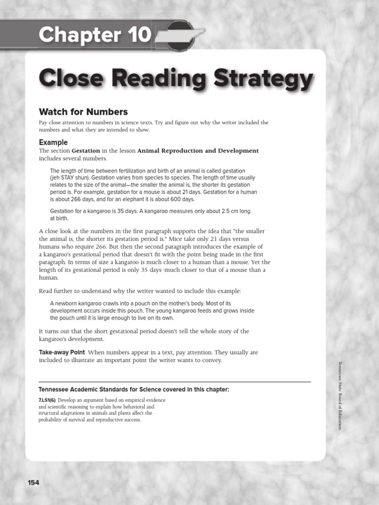 G7-Chapter 10-Lesson 3-Answer | PDF | Egg | Instinct