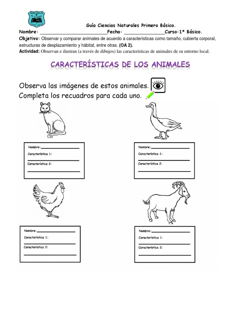 Primero Básico Características de Los Animales. | PDF